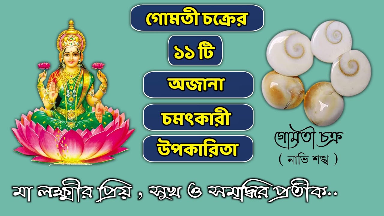 গোমতী চক্রের ১১টি অজানা চমৎকারী উপকারিতা | নাভি শঙ্খ | navi sankha ...