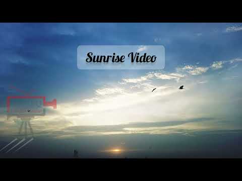 Peaceful Music | Relaxing Nature Sounds for Sleep | Asmr