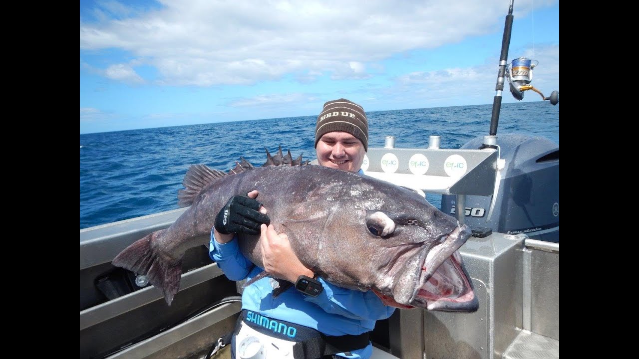 Epic Hapuka Fishing with Epic Adventures - YouTube