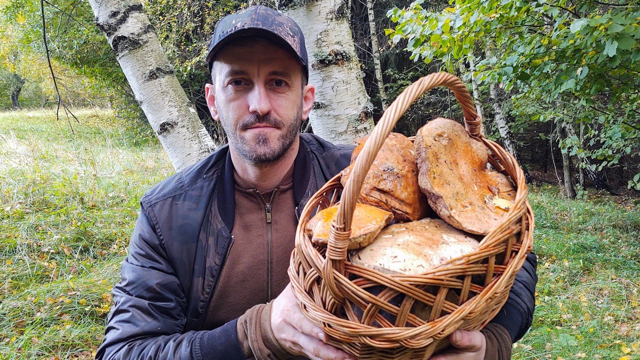 Hríby Huby 2021 Gigantické kozáky osikové a monštrá kuriatka gigantické ...