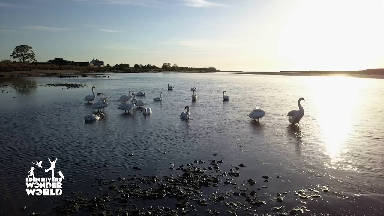 Eden's Amazing Places: The Solway Firth - YouTube