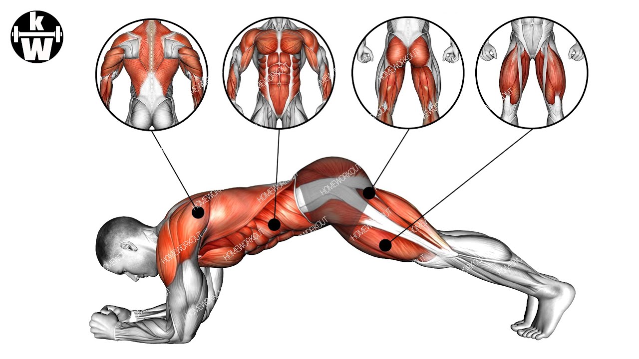 Full-Body Workouts to Build Muscle Fast at Home (Every Muscle!) - YouTube