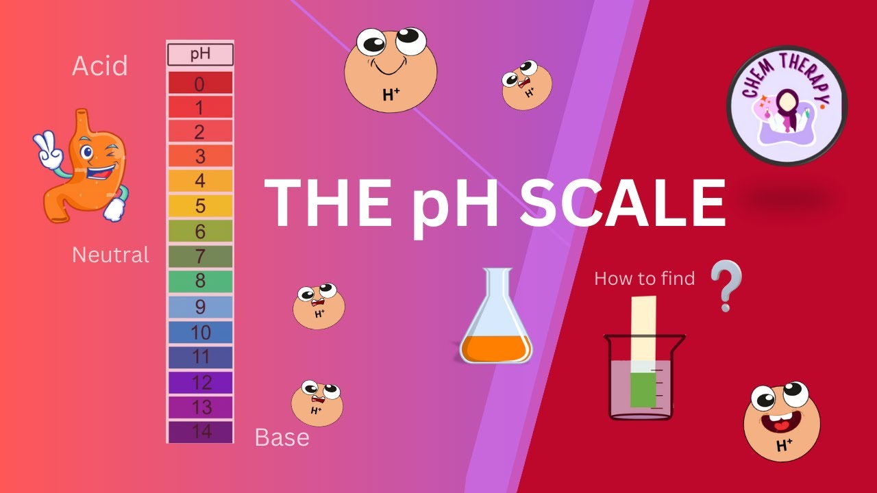 What is the pH Scale in Simple Terms 📝| Acids, Bases & pH | Chemistry | Chem Therapy - YouTube
