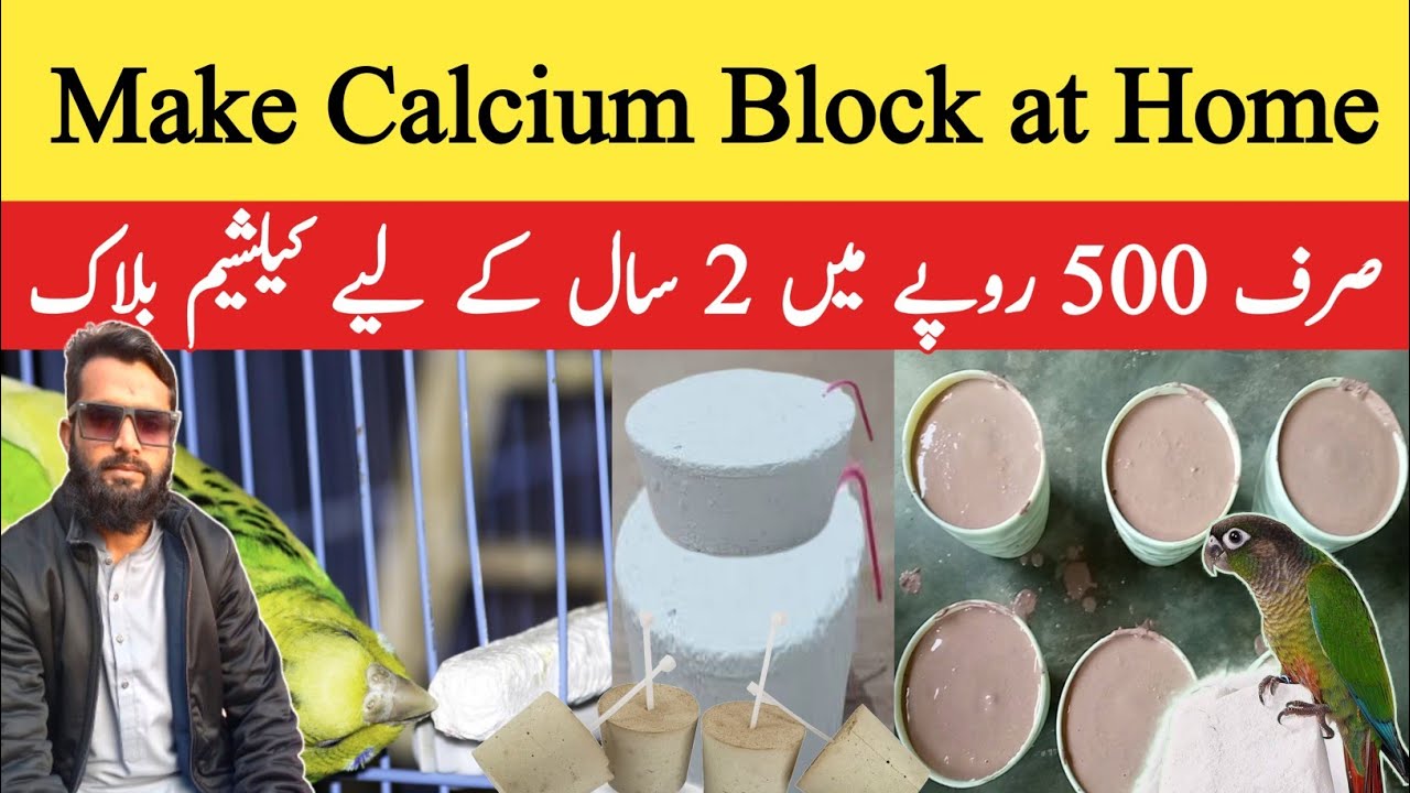 How to make Calcium Block at home for lovebirds, budgies, cocktails ...
