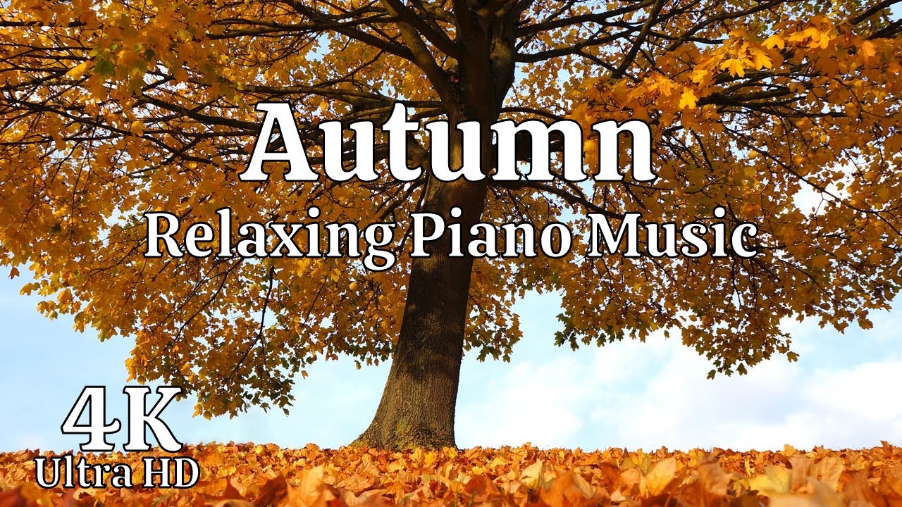 Autumn, Relaxing music, piano music for strees relief, Video 4K, Ultra ...