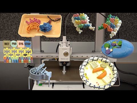 Biology 3D printing program - YouTube