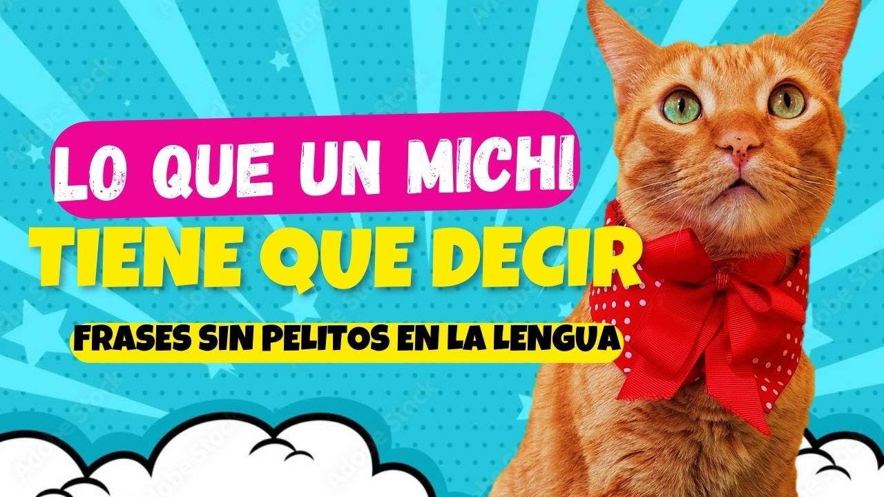FRASES QUE UN MICHI SI DIRÍA ... 😂😹 Compilacion shorts de marzo - YouTube