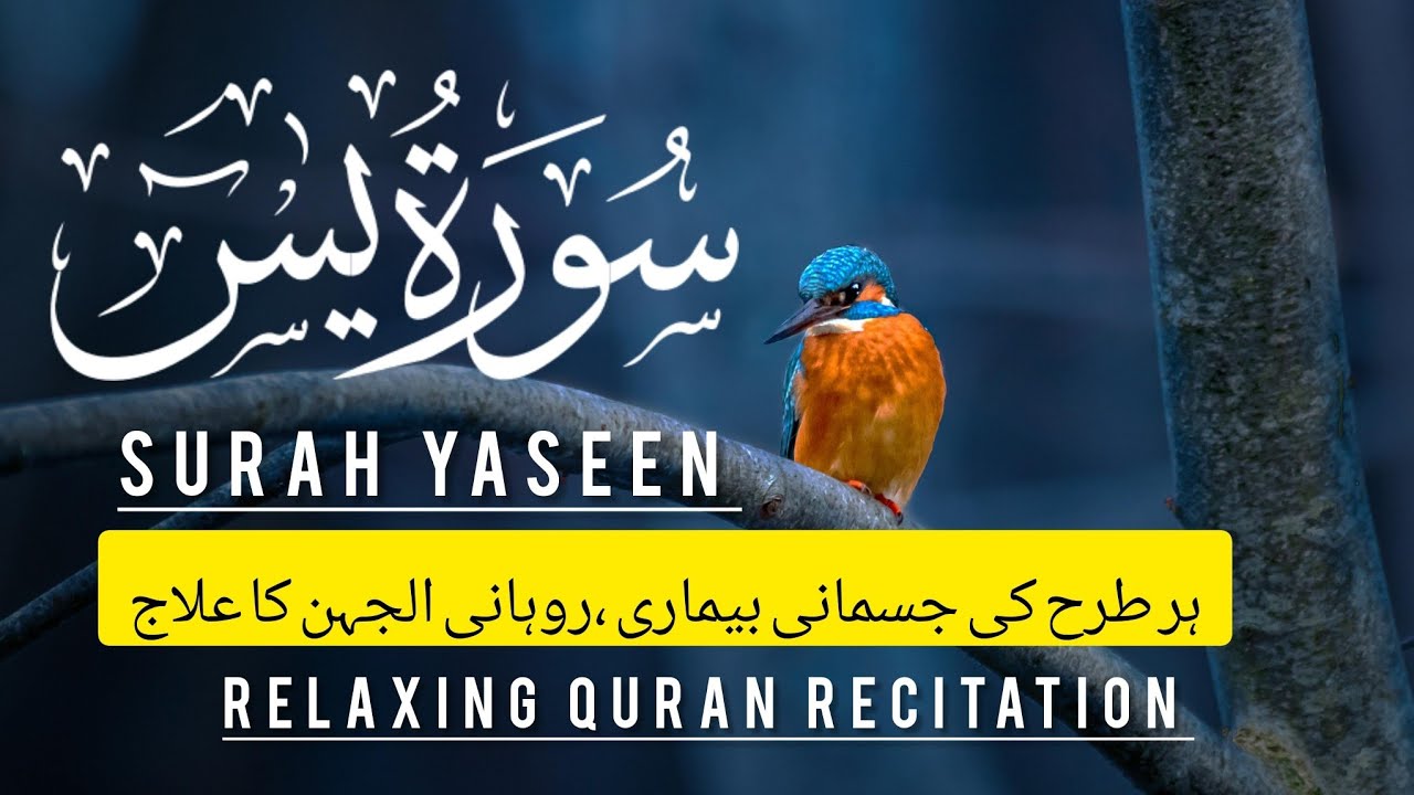 Surah Yaseen _Full (HD) Beautiful Voice|By Qari Kashif Aziz|سورة یسین ...