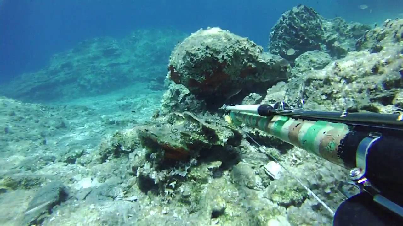 ψαροντουφεκο ρηχο οταν εχει αερα εχει ψαρια shallow spearfishing when ...