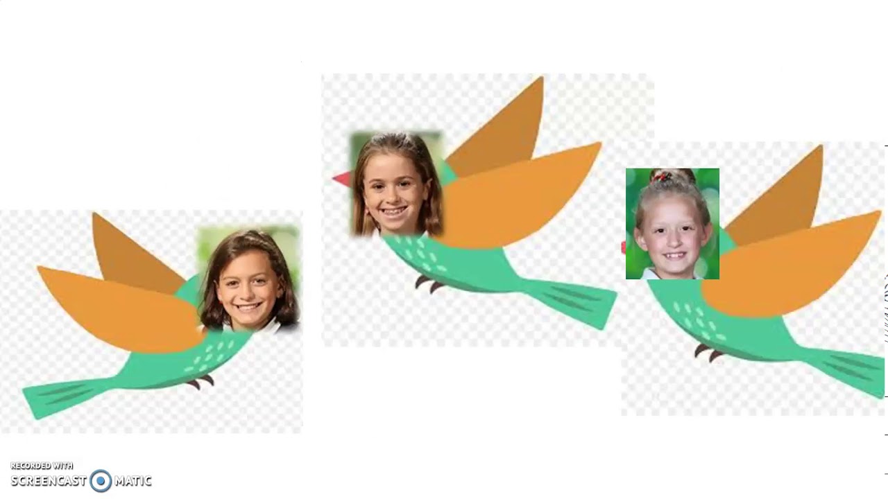 NH Review Birds, prt 2 - YouTube