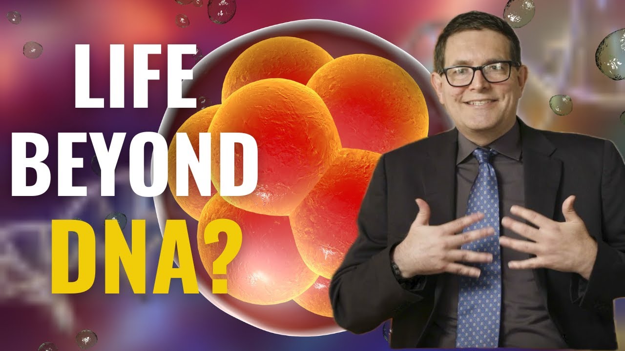 The Non-Algorithmic Nature of Life: Physicist Dr. Brian Miller - YouTube