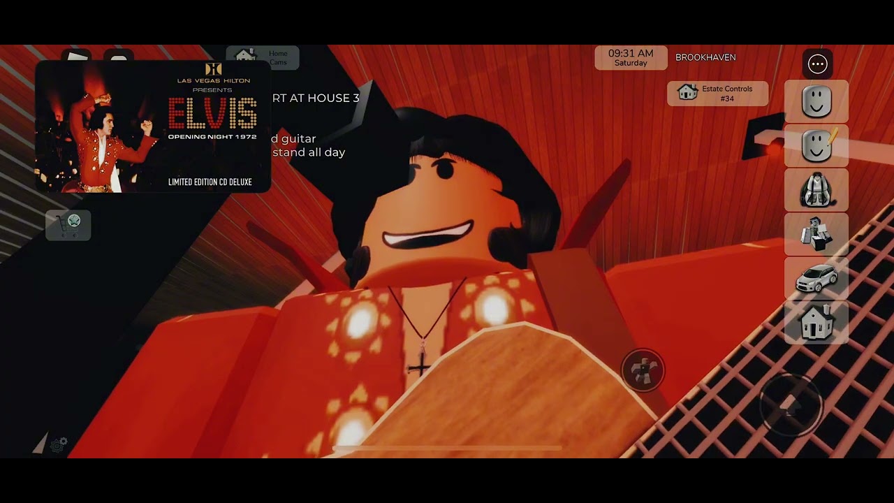 Elvis in concert at Brookhaven fest featuring 2coolbrro - YouTube