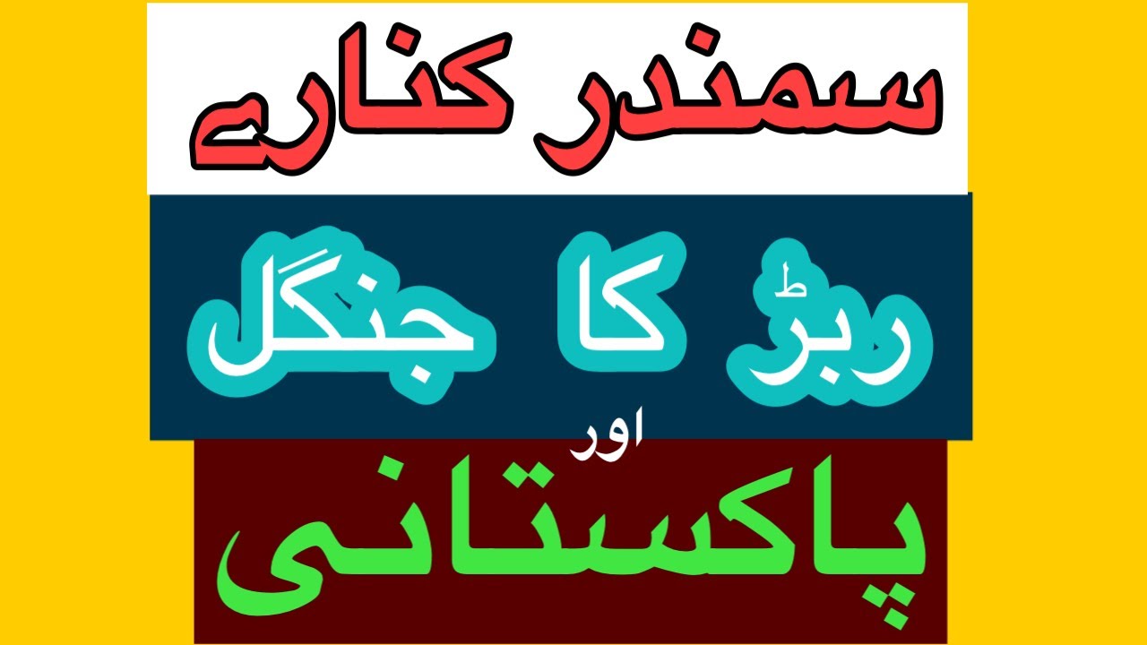 Rubber ka Jungle | Rubber Tree | SMM Panel Pakistan | Pakistani ...