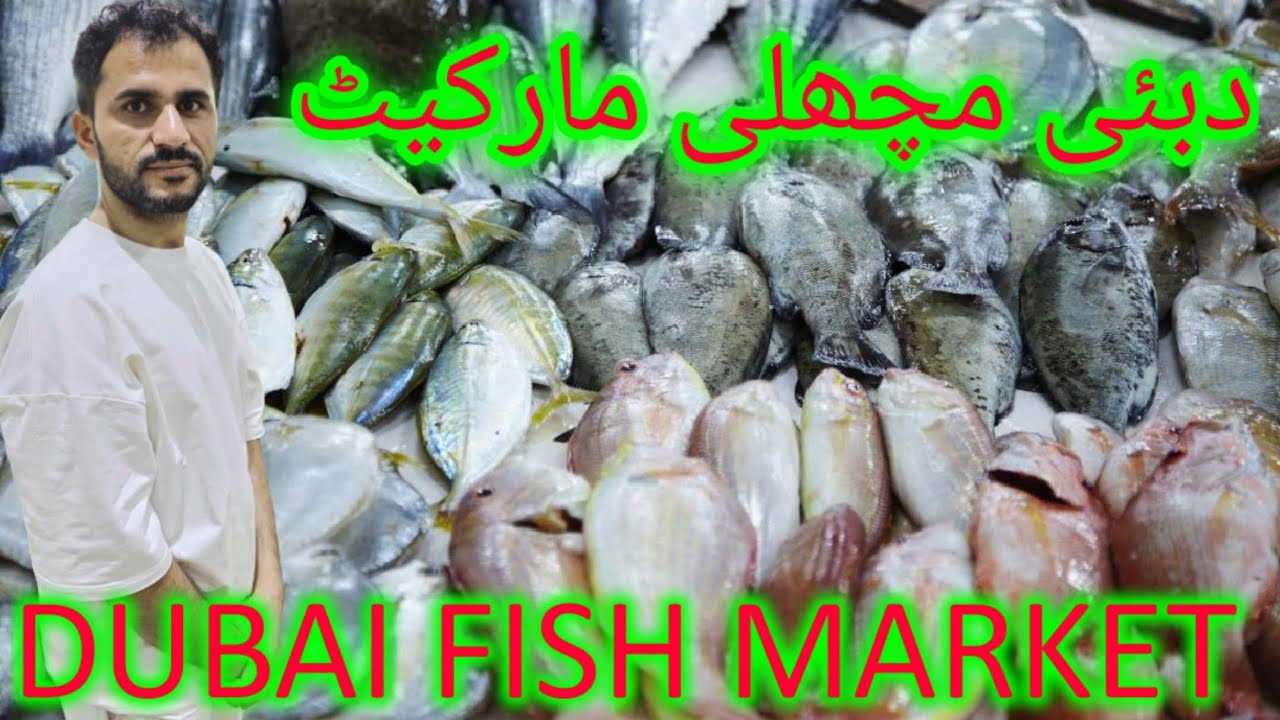 Dubai fish market♡waterfront fish market[4k] HDR update #fish #fishing ...