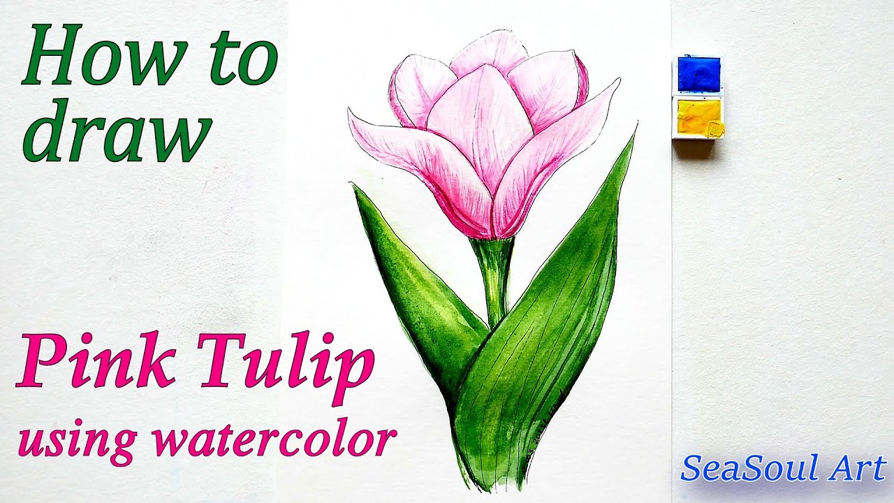 How To Draw A Tulip In Watercolor Tulip Drawing Step By Step Drawing Tutorial Bo Daftsex Hd