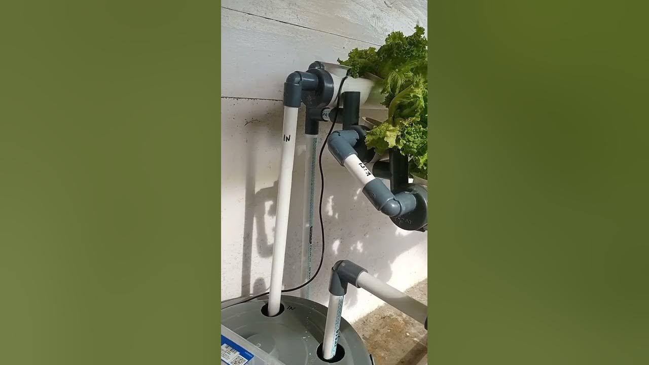 Hidroponik Pintar Berbasis IoT - YouTube