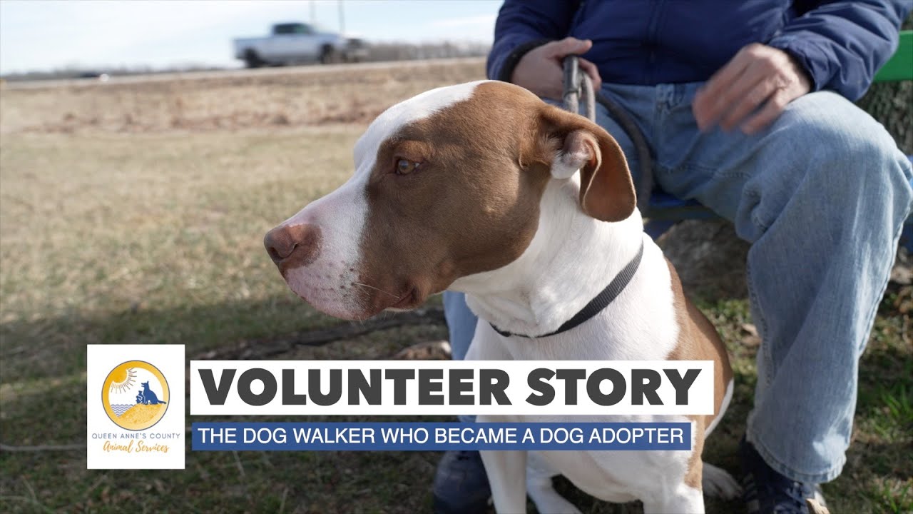 The story of a dog named Moo - YouTube