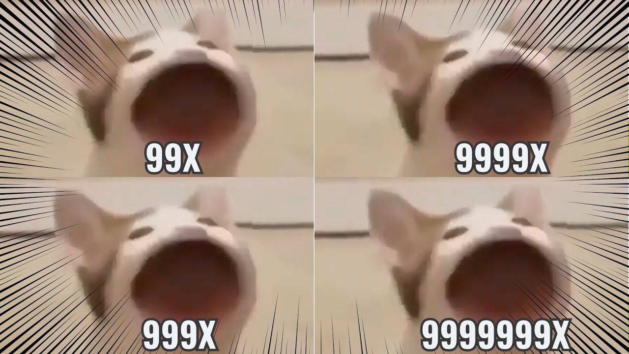 Pop Cat Getting 9999999X Speed - YouTube