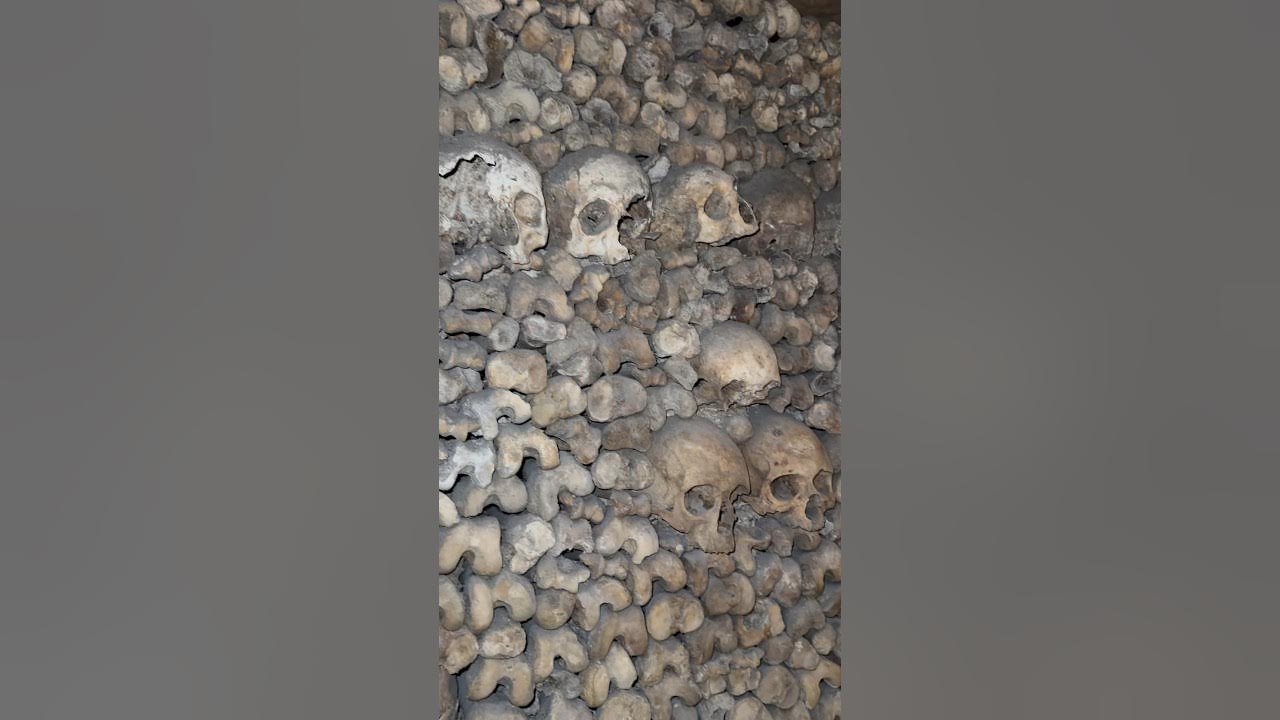 Real skulls and bones from the Catacombes of Paris. You can feel and ...