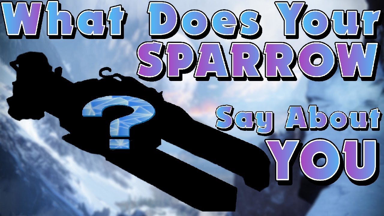 What does your SPARROW say about YOU?! - YouTube