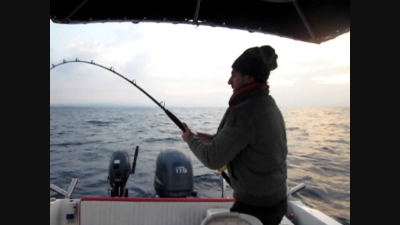 Cyprus fishing-Amberjack-μαγιάτικο 1 - YouTube
