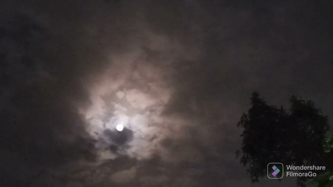Wolf howl full moon night.. - YouTube