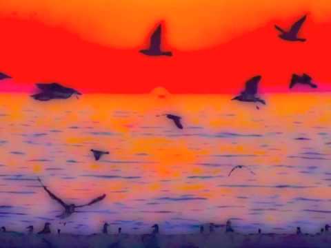 U2- Heartland (Official-Unofficial) Music Video - YouTube