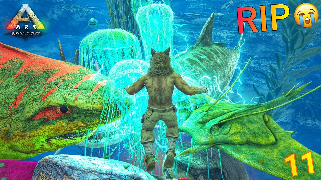 Hammerhead Shark Megalodon Jellyfish Ne Band Baja Di : ARK Caballus ...