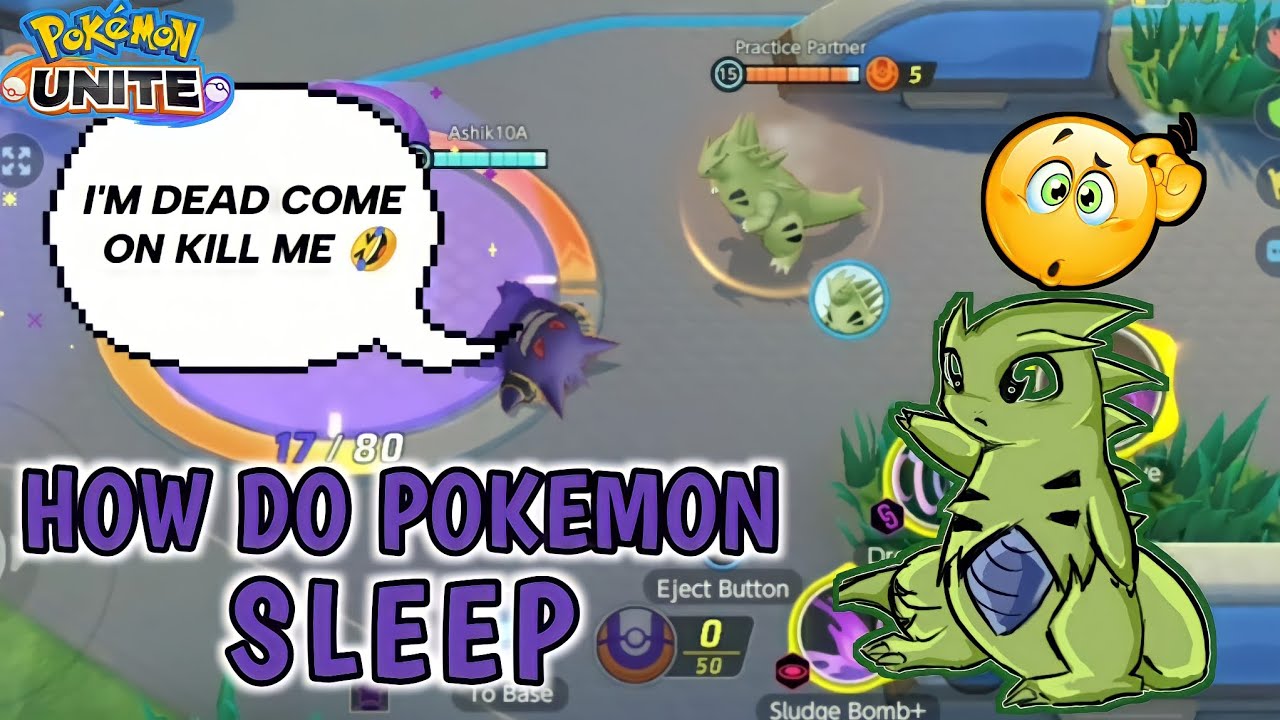 How do every Pokemon Sleeping in Everywhere 😴💤💤||Pokemon Sleeping ...