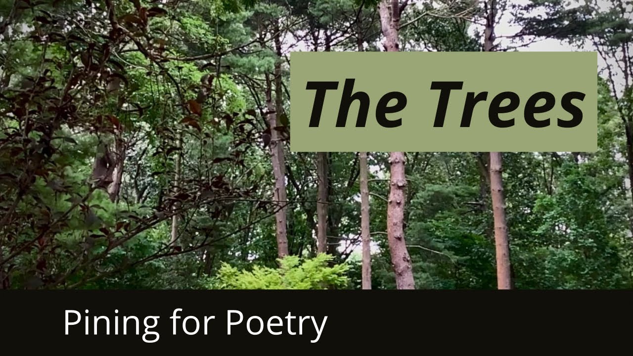 Pining for Poetry; The Trees. Poem by Tere Carandell Sarabia - YouTube
