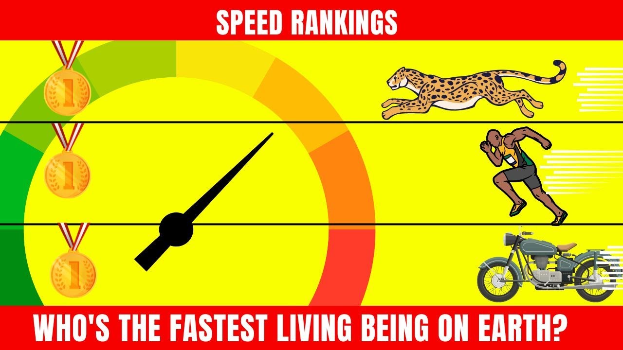 Speed Rankings - Who's the Fastest Living Being on Earth? - YouTube