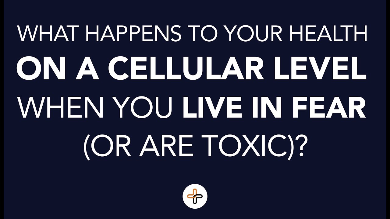 Cell Danger Response - What Happens to You on a Cellular Level when You ...
