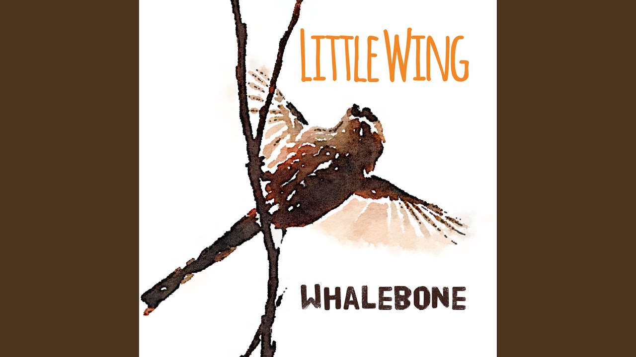 Little Wing - YouTube