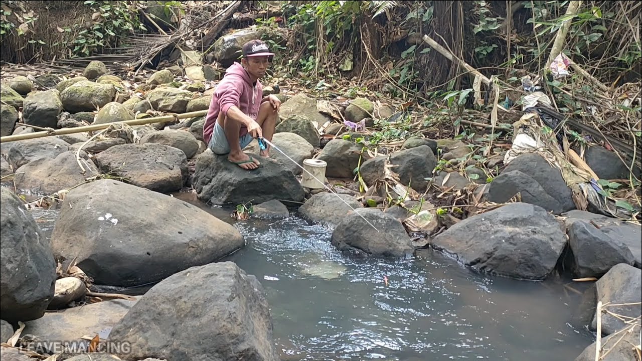 PANEN IKAN.!! MANCING DI SUNGAI JARANG DI JAMAH PEMANCING || SPOT ASRI ...