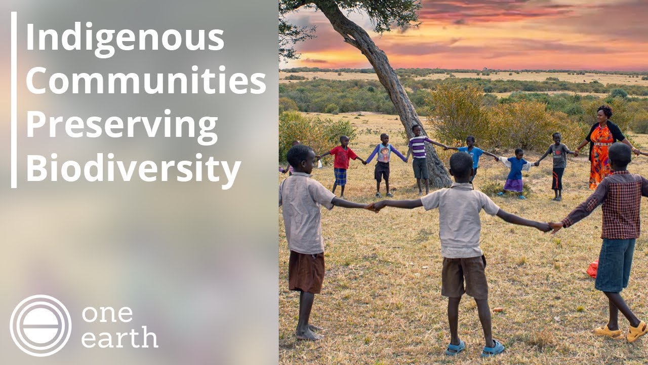 How Indigenous Communities Preserve Biodiversity | One Earth - YouTube