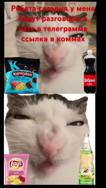 #cat #unicute #catlover #unicon #cute #unikitty #pets #meow #funny # ...