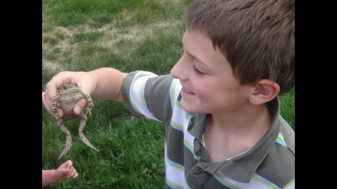 Babies and Kids making friend with little frog - Funny Babies and baby ...
