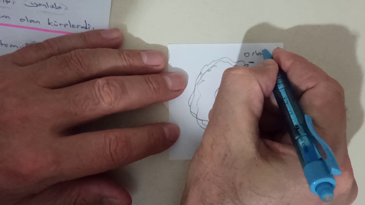 Thomson atom modeli - YouTube