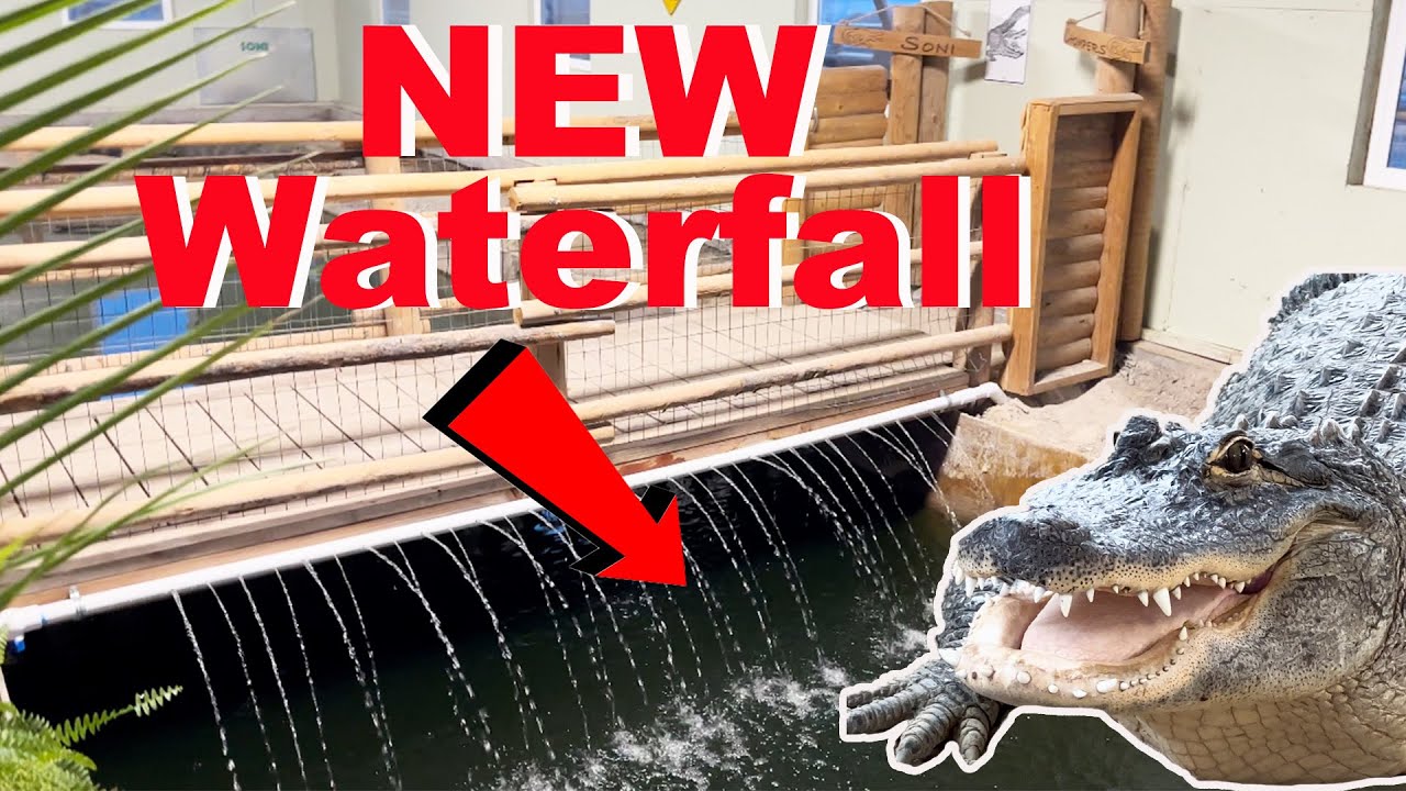 Installing A Heated Waterfall For My Alligators! - YouTube