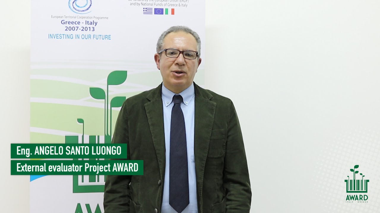 Ing. LUONGO Angelo Santo - External evaluator Project AWARD | Award ...