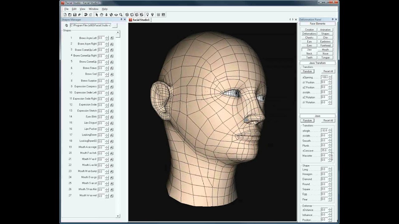 How to change the default head in Facial Studio (Windows Edition) - YouTube