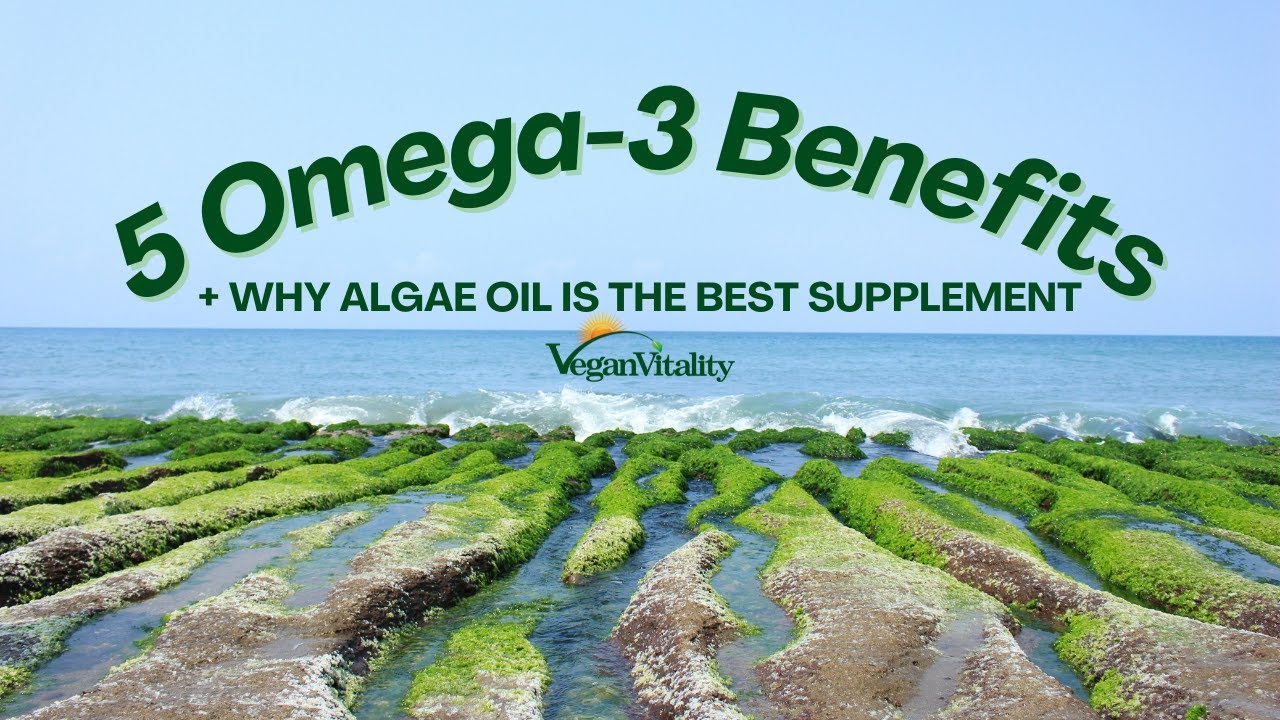 5 Benefits of Omega-3 (AND Why Algae Oil Is The Best Source) - YouTube