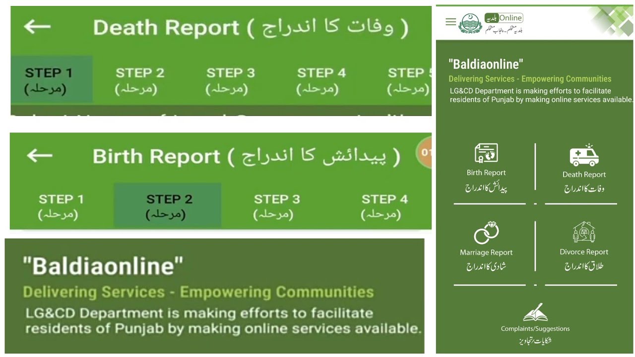 Govt. of Punjab Online Baldia Application! for registration works in ...