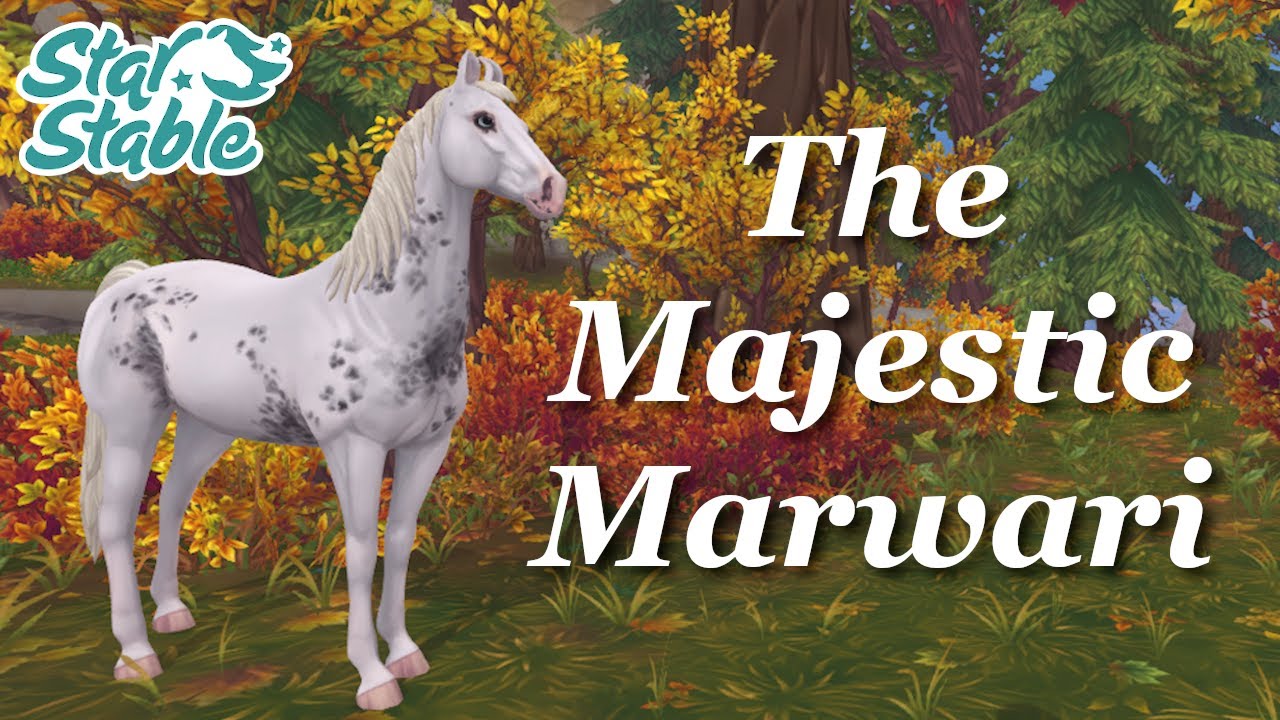 The Majestic Marwari | SSO Update - YouTube