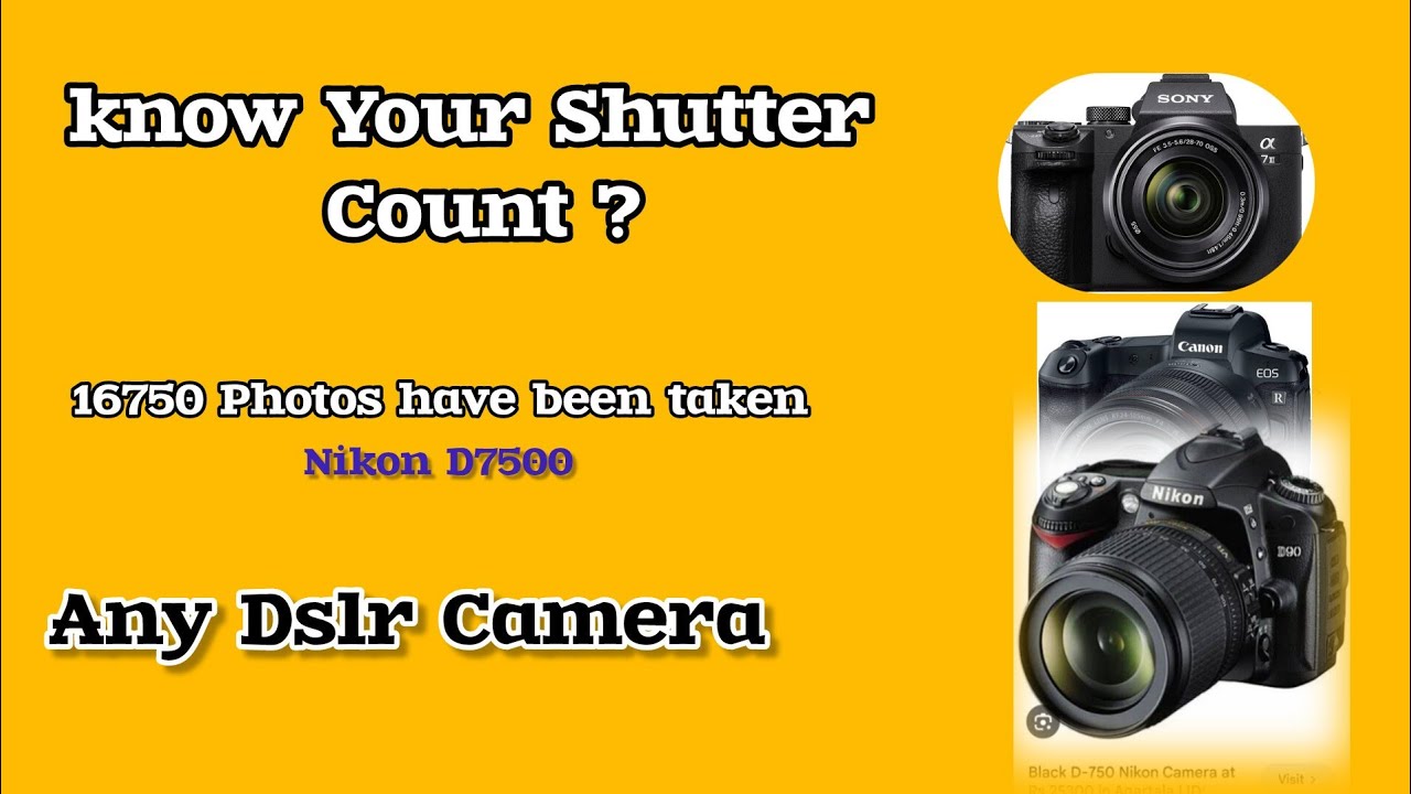 How to Check Any Camera Shutter Count 💯 in 1 Miniutes 😍 #shuttercount # ...