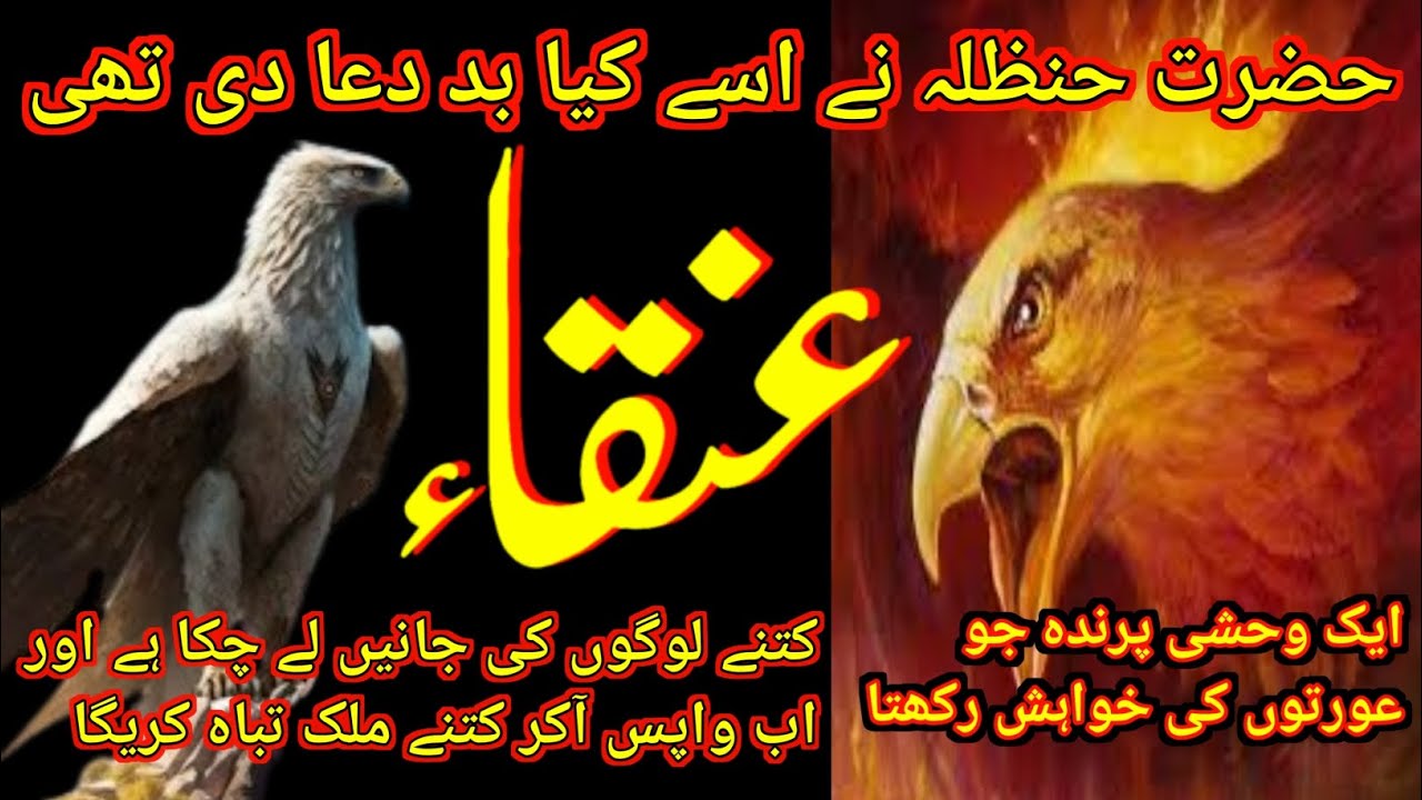 STORY OF ANQA BIRD IN ISLAM | GRIFFIN BIRD MYTHOLOGY | HAZRAT HANZALA ...