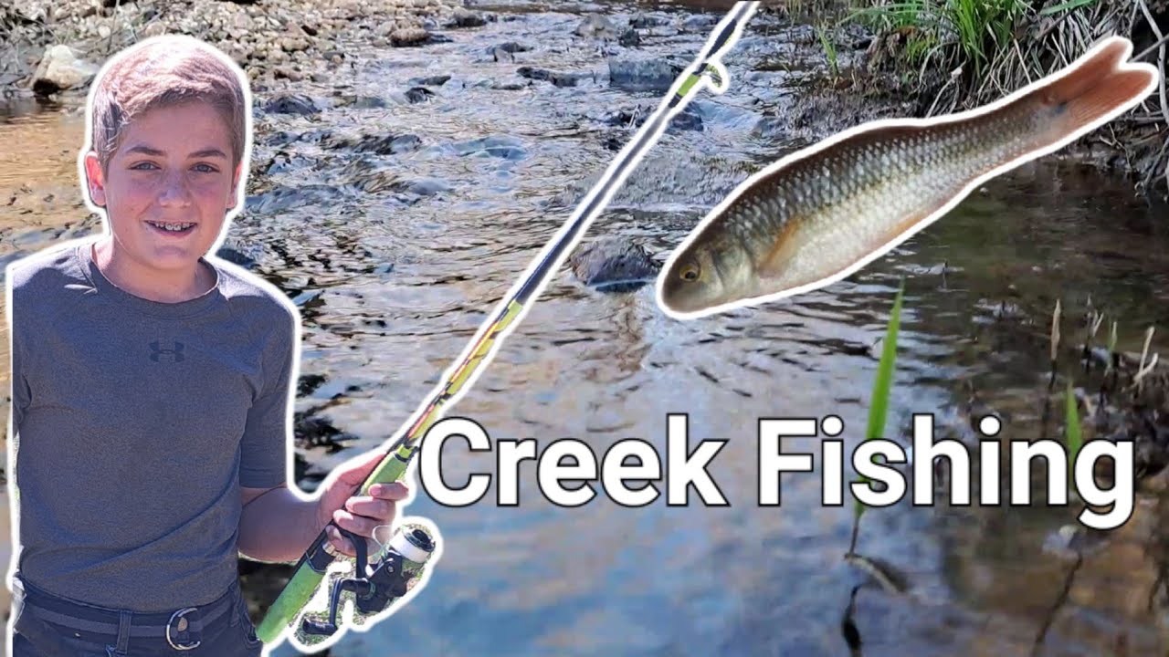 Creek Fishing - YouTube