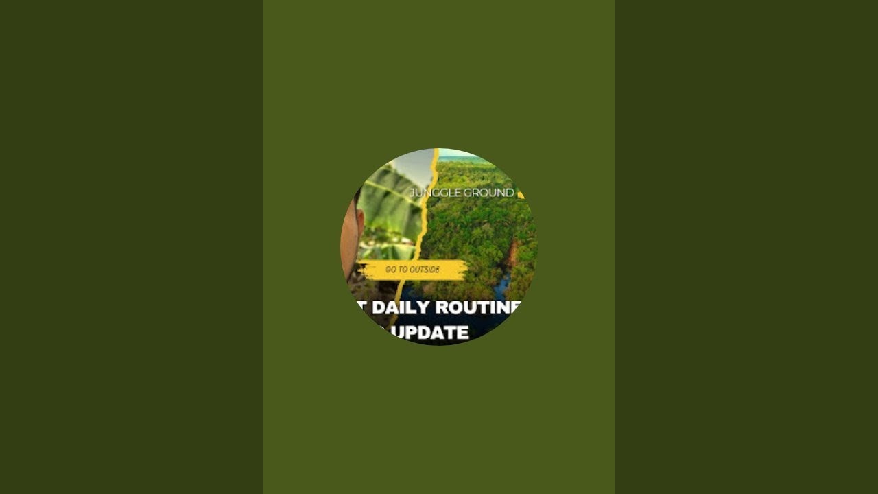 my daily blog !! daily routine vlog !! #vlog #blog #dailyvlog #youtube# ...