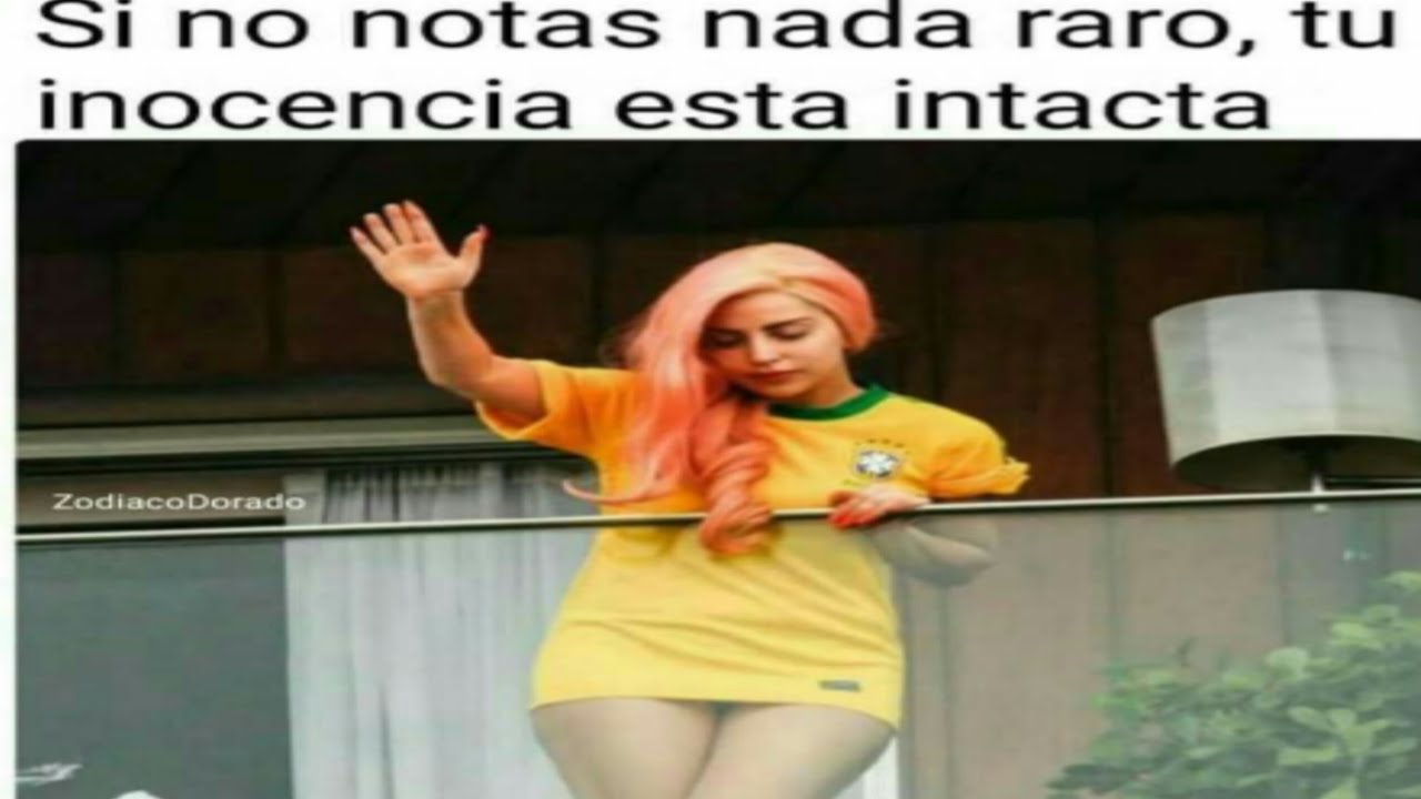 Memes random 6#e vuelto por q soy el más perron aquí 😹😹😹😋 - YouTube