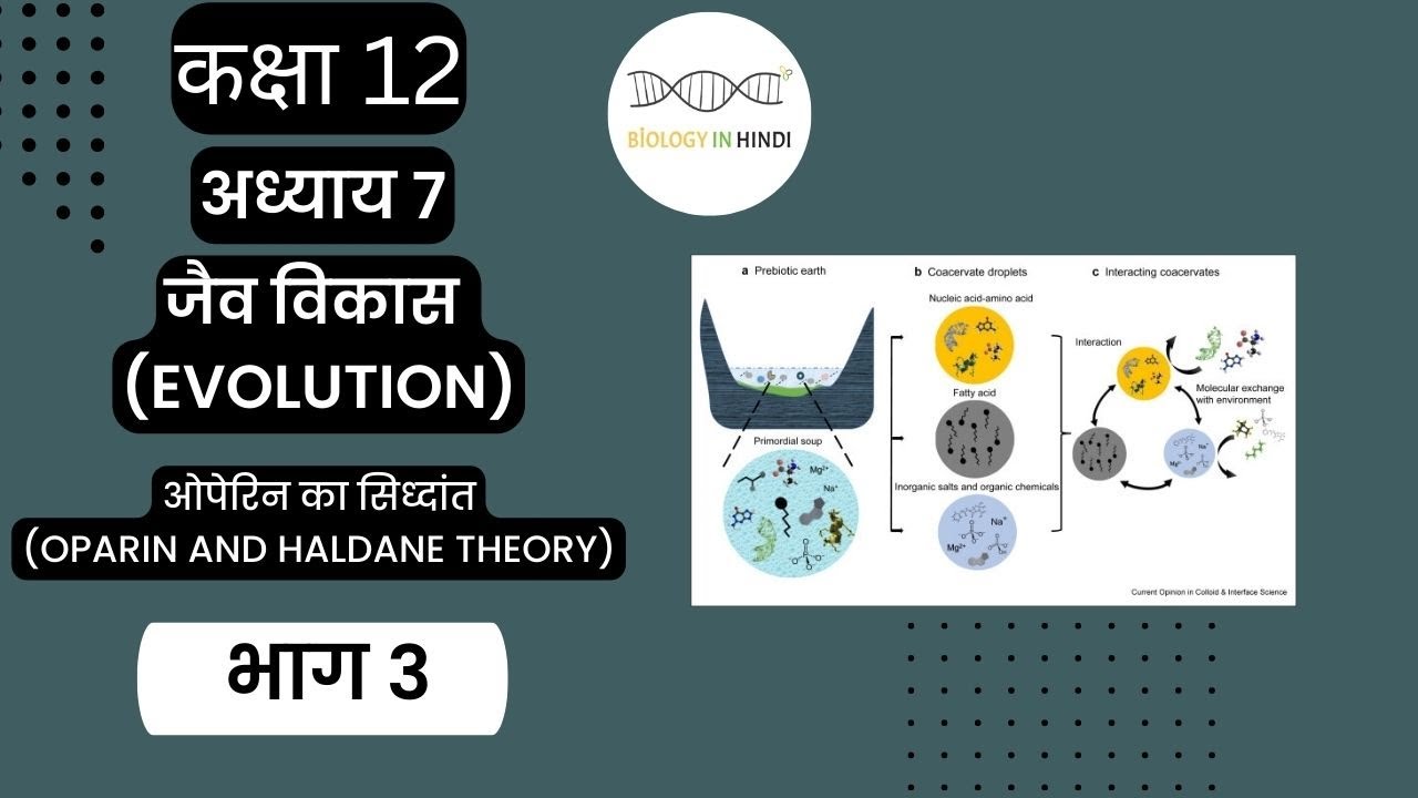 अध्याय 7 भाग 3 जैव विकास | Evolution | Oparin and haldane theory of ...